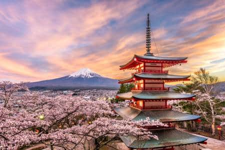 11 Best Places to See Cherry Blossoms in Japan | Japan Cheapo