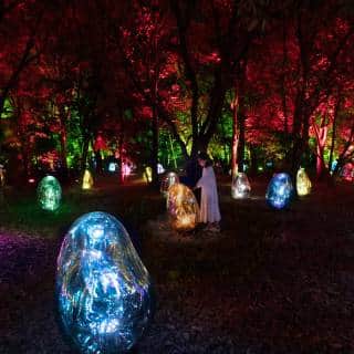 teamLab Botanical Garden | Japan Cheapo