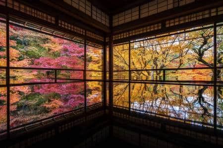 Rurikō-in Temple Autumn Opening, Oct 1–Dec 14, 2025 | Japan Cheapo