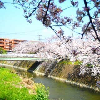 Sayama Pond | Japan Cheapo