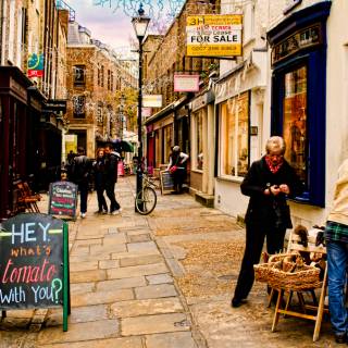 north-london-area-guide