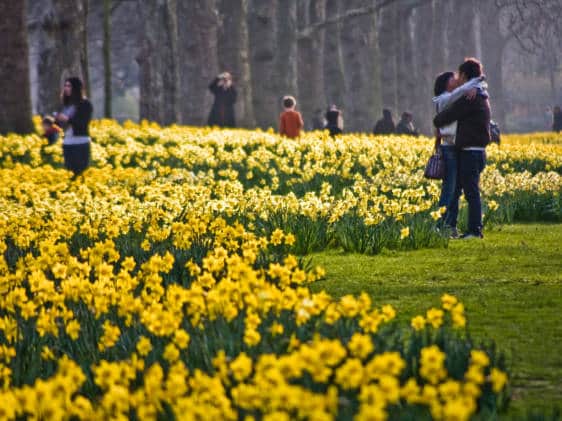 The Best Things About Spring in London | London Cheapo