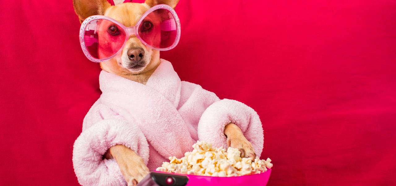 Advertise on London Cheapo | London Cheapo