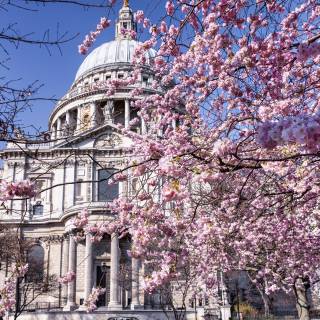 The Best Things About Spring in London | London Cheapo