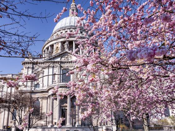 The Best Things About Spring in London | London Cheapo