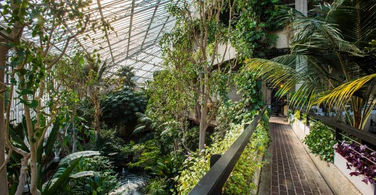 Unwind in the Barbican Conservatory, Jan 17–Dec 20, 2026 | London Cheapo