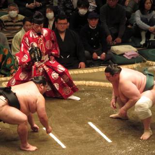The Grand Sumo Tournament — London, Oct 15–Oct 19, 2025 | London Cheapo