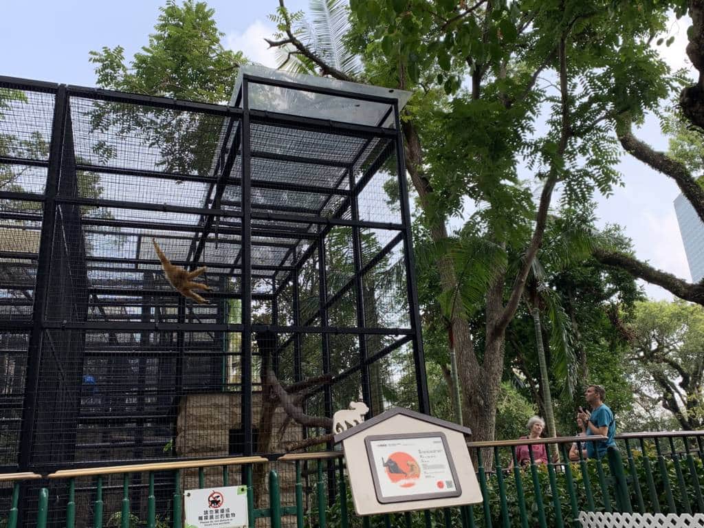 Hong Kong Zoological and Botanical Gardens | Hong Kong Cheapo