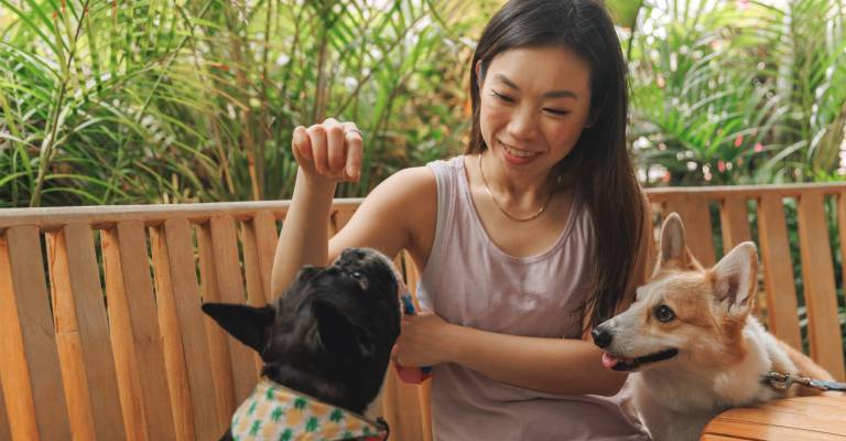 Hong Kong's Best Dog-Friendly Cafés, Bars, and Restaurants | Hong Kong ...